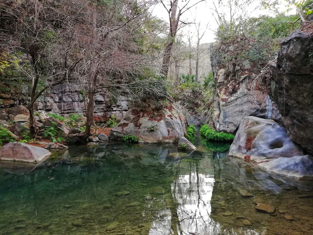 HOY analizan reapertura de “Los Troncones” - La Expresión - Periódico ...