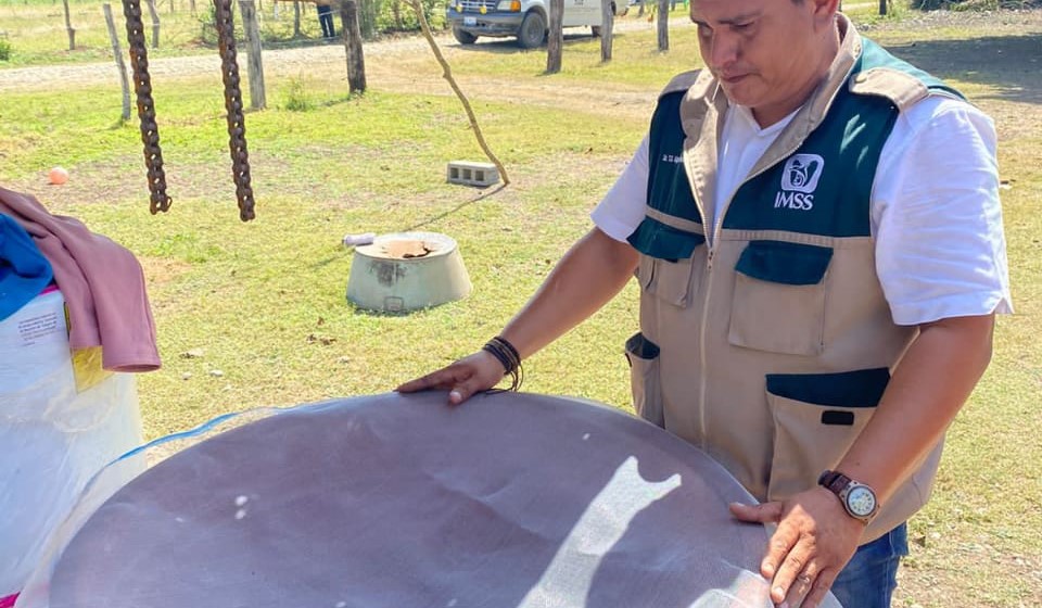 Exhorta IMSS a reforzar medidas de prevención contra el dengue - La ...