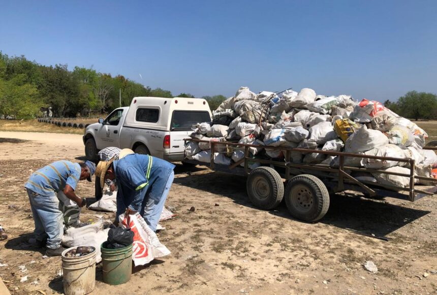 Llama IMSS a reforzar medidas de prevención contra el dengue - La ...