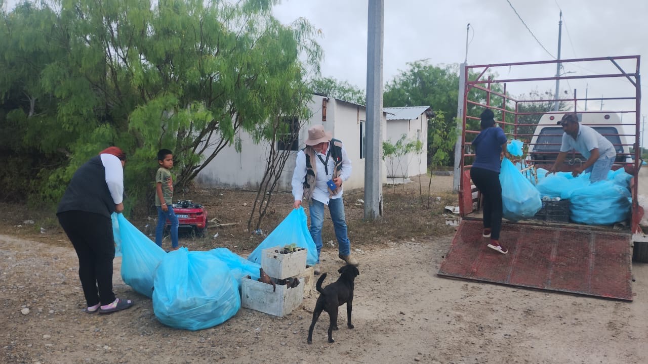 Promueve IMSS acciones para prevenir el dengue - La Expresión ...