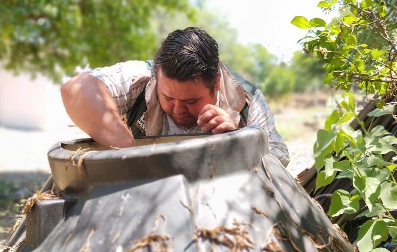 Llama IMSS Tamaulipas a reforzar medidas de prevención contra dengue ...